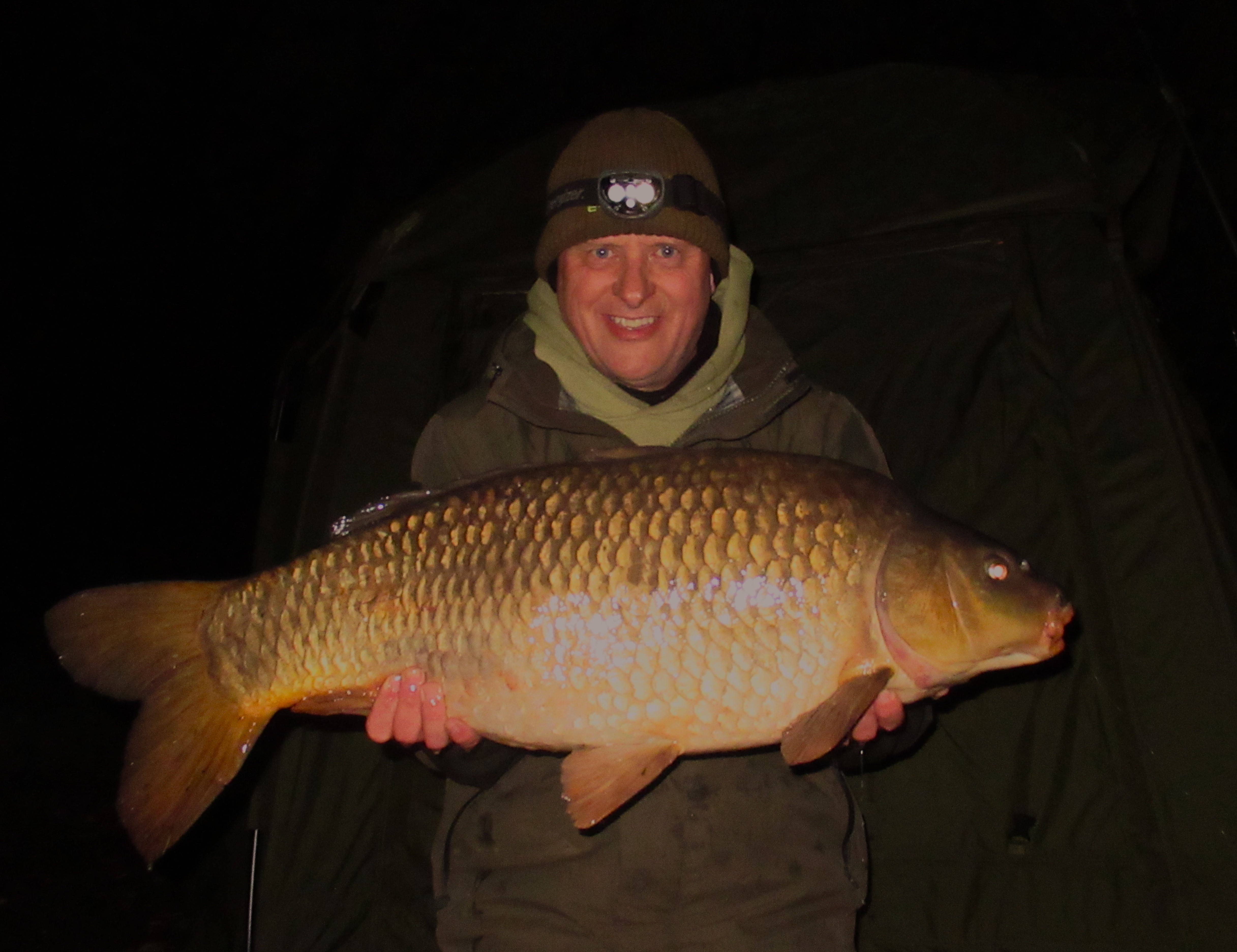 Busy night Common | Total Carp